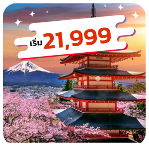 หน้าแรก - Yaktour