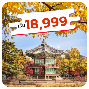 หน้าแรก - Yaktour