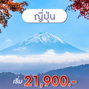 ทัวร์ต่างประเทศ เกาหลี ญี่ปุ่น เวียดนาม จีน ยุโรป ราคาโปร 2566 - Yaktour