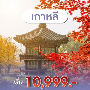 ทัวร์ต่างประเทศ เกาหลี ญี่ปุ่น เวียดนาม จีน ยุโรป ราคาโปร 2566 - Yaktour