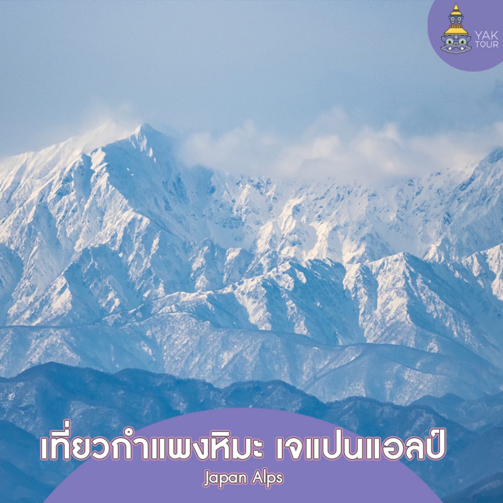 เที่ยวญี่ปุ่น ต้องไม่พลาด 7 เทศกาลสุดคึกคักในเดือนพฤษภาคม - Yaktour