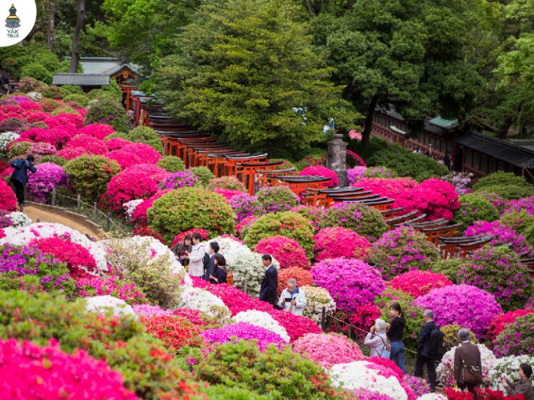 ที่เที่ยวญี่ปุ่น โตเกียว อัปเดตใหม่ 2025! - Yaktour