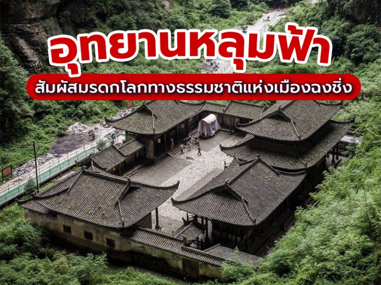 อุทยานหลุมฟ้า 3 สะพานสวรรค์ มรดกโลกแห่งเมืองฉงชิ่ง - Yaktour