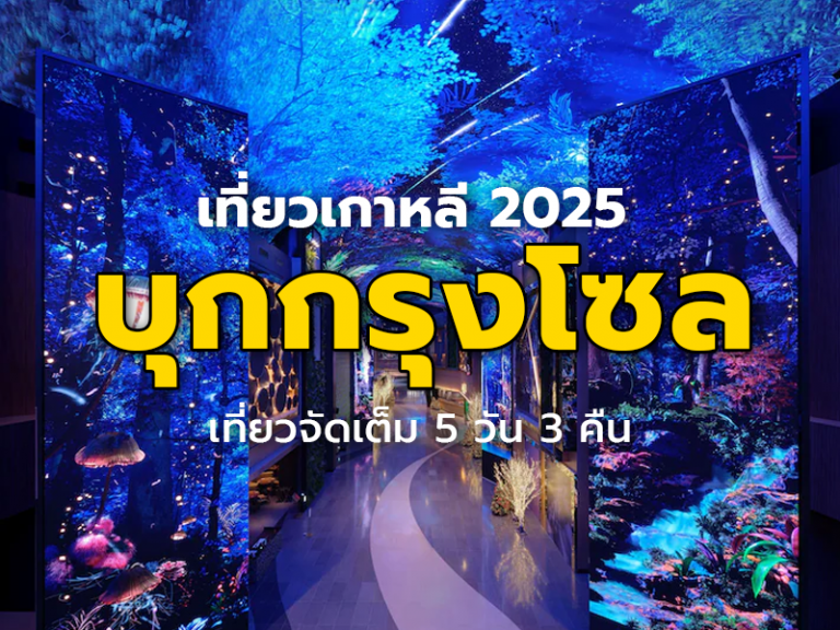 แจกแพลน เที่ยวโซล เกาหลี 2025 สนุกจัดเต็ม 5 วัน 3 คืน - Yaktour
