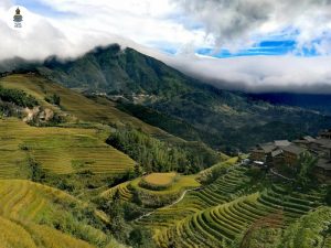 9 ที่เที่ยว กุ้ยหลิน เมืองแห่งขุนเขาและธรรมชาติ สวยจนต้องไปซ้ำ! - Yaktour