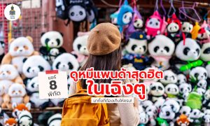 แชร์ 8 พิกัดดู หมีแพนด้า สุดฮิตในเฉิงตู มาทั้งทีต้องเก็บให้ครบ! - Yaktour